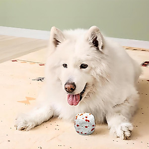 Generic E-TPU Dice Dog Toy for Aggressive Chewers: Tough, Lightweight Chew Toy, Small Medium Large Breed