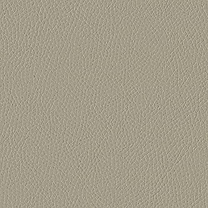 Lexicon Ezra Genuine Leather Power Reclining Loveseat, Beige