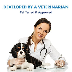 PetSilver Wound Gel with Complex AG21 & Hemp Oil | Chelated Silver 200 ppm | Dog & Cats | Wounds | Hot Spots | Itches | Skin Irritations | Burns | Rashes | Sores | Homeopathic Relief | 4oz