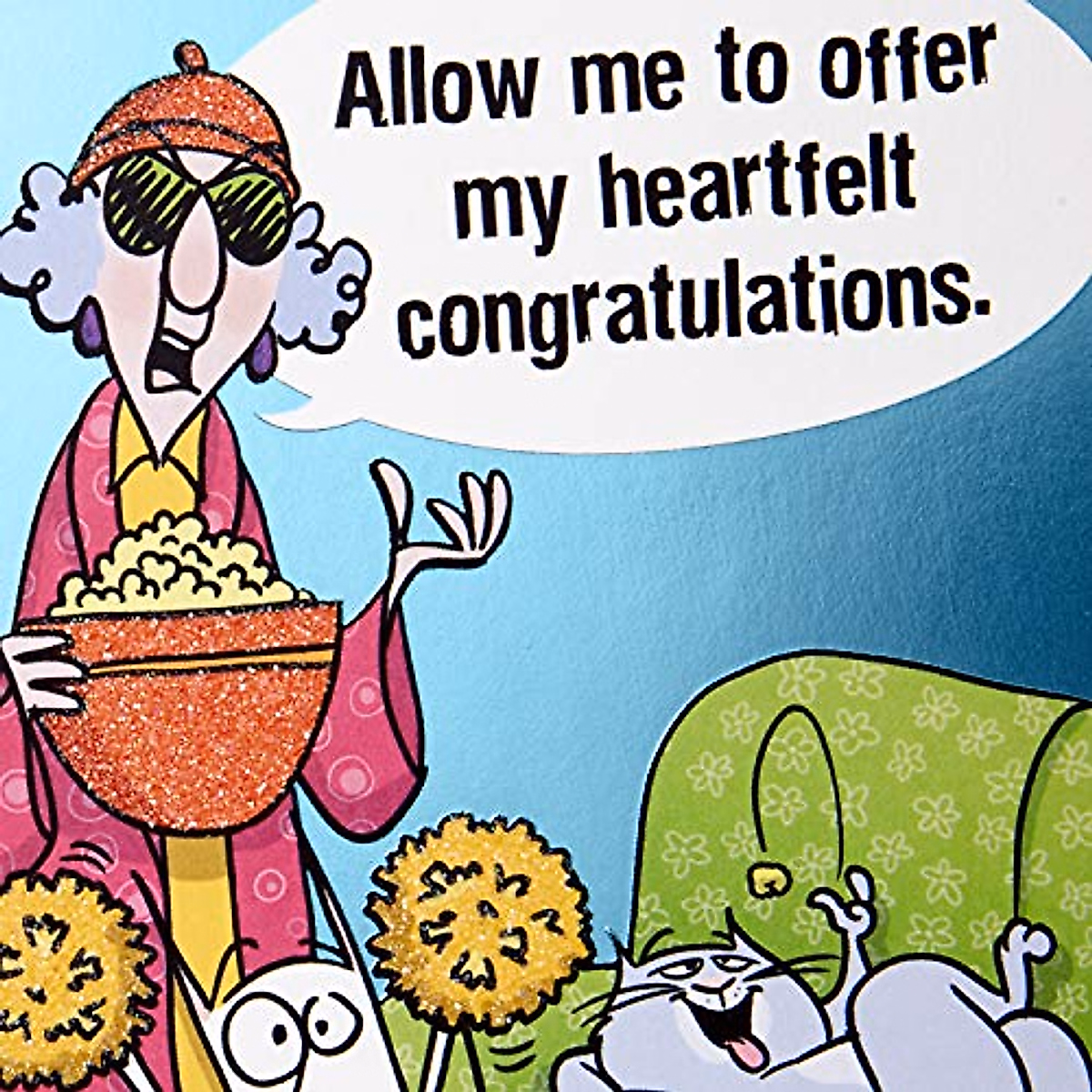 Hallmark Shoebox Maxine All Occasions Card Assortment (6 Cards with Envelopes), Model:1599RZG1001