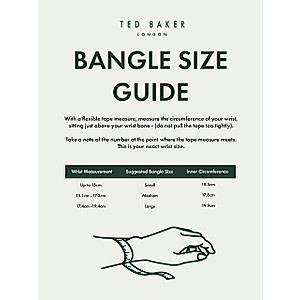 Ted Baker London Clemara Hinge Crystal Bangle Bracelet for Women (Silver Tone)