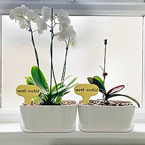 Torfican 5 Set Window Herb Planter Box Rectangular,8.5x3.5 Inch White Plastic Planters with Multiple Drainage Holes and Trays,Indoor Succulent Cactus Mint Flower Pot for Windowsill,Garden Balcony