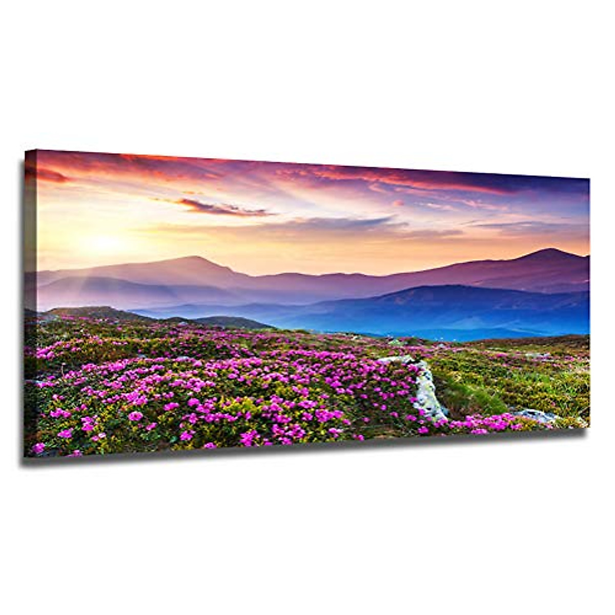 Ardemy Purple Mountain Canvas Wall Art Landscape Picture Prints Modern Painting, Wildflowers Scenery Artwork Ready to Hang for Living Room Bedroom Bathroom Home Office Decor, One Panel Framed 40"x20"