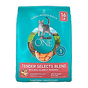 Purina ONE Natural Dry Cat Food, Tender Selects Blend With Real Salmon - 16 lb. Bag