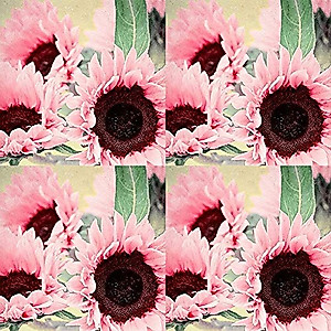 Iris Tectorum Rose Sunflower Cobaea Scandens Seed, 15Pcs Pink Sunflower Seeds Bonsai Plant Office Home Garden Yard Floral Decor - Pink Sunflower Seeds