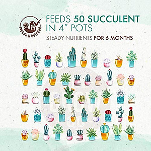 Succulents & Cactus Plant Food - Gentle Long Lasting Formula, Slow Release Fertilizer (Liquid Alternative) for All Potted Succulent, Cacti & Aloe Vera Plants (5 oz)