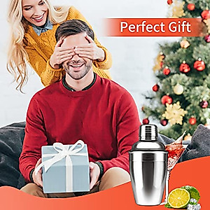 Newness Cocktail Stainless Steel Wine Shaker with Strainer and Lid Top, 8.4oz (250 ml), Small, Single Martini - Great Mother Gifts