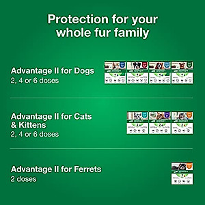 Advantage II Small Cat Vet-Recommended Flea Treatment & Prevention | Cats 5-9 lbs. | 3-Month Supply