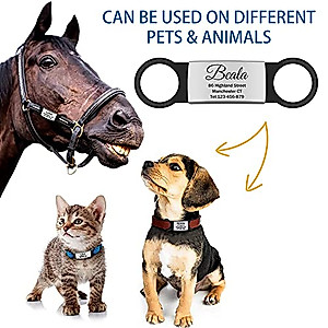 JATEBI 2 Pack Personalized Dog Tag, Slide-On Pet ID Tags,Stainless Steel Dog Tags, No Jingle Slide on Cat ID Tag, Custom Engraved No Noise Animal Identification Tag(L Silver)…