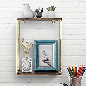 MyGift 2 Tier Modern Brass and Burnt Wood Floating Shelf, Decorative Shadow Box Wall Shelf