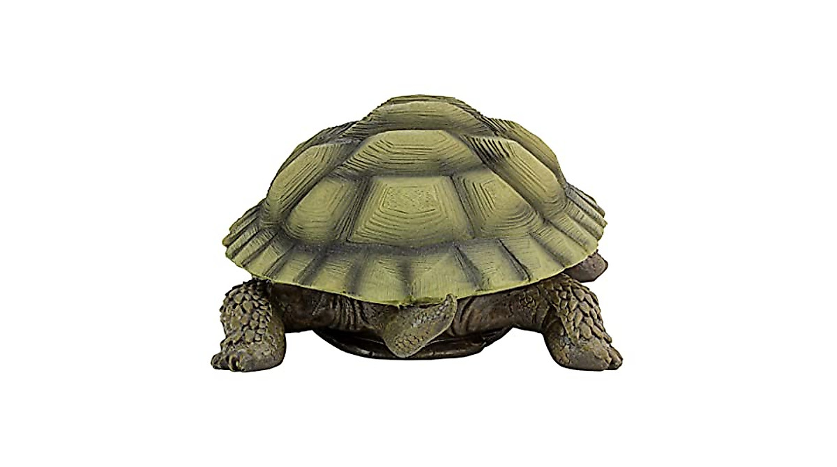 Design Toscano Gilbert Box Turtle Garden Statues - Set of 2