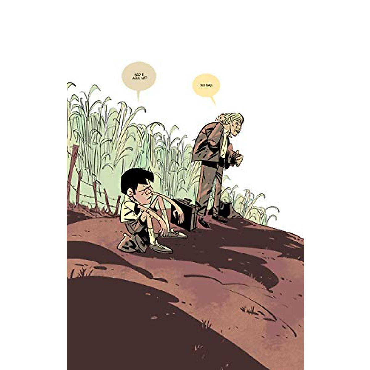 Roseira, Medalha, Engenho E Outras Histórias