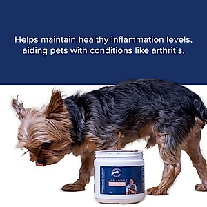 Dr. Jeff Werber Replenish Omega 3 Fatty Acid Chew for Pets & Dogs - Soft Fish Oil Chews with Natural Ingredients for Boosting Immune System and Regulating Inflammatory Response - 60 ct. (Small/Medium)