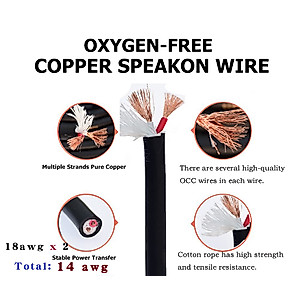 2Pcs Professional Speakon to 1/4 Inch ts 1/4" Mono Gold-Plated 6.35mm Adapter Speaker Cable for pa Jack Pair Male Audio Port Plug Amplifier Connection dj amp Heavy Duty bocina Cord Wire ft(30 feet)