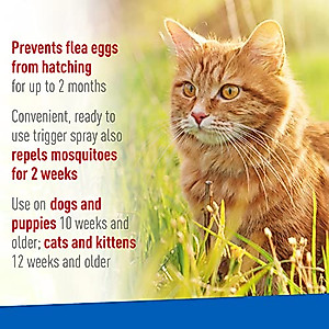Adams Plus Flea & Tick Spray For Dogs and Cats | Kills Adult Fleas, Flea Eggs, Flea Larvae, Ticks, and Repels Mosquitoes For Up To 2 Weeks | Controls Flea Reinfestation For Up To 2 Months | 16 Oz
