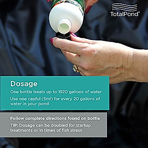 TotalPond A20011 Chlorine Remover Plus, 16-Ounce