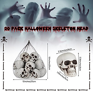 Charniol 20 Pieces Mini Halloween Skulls Heads Plastic Miniature Skulls Skeleton Heads Decorations in Mesh Bag Realistic Skulls Props Crafts for Halloween Party Bar Home Table Decor
