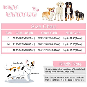 Due Felice Cat Surgery Recovery Suit Small Dog Surgical Recovery Onesie Pet After Surgery Wear for Female Male Cat Doggy Pink Heart/Medium