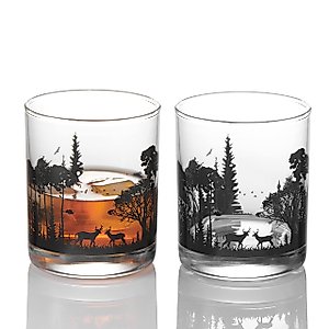 Whiskey Glasses set of 2 glasses bourbon glass Old Fashioned Glasses Barware for Scotch, Bourbon, Liquor and Cocktail Drinks