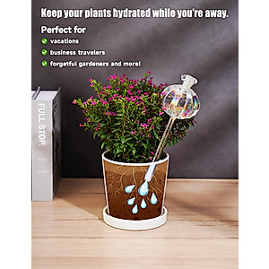 NiHome Plant Watering Globes 2-Pack, Iridescent Glass Cactus Self Watering Globe, Glass Waterer for Potted Plants - 4.7OZ/140 ML Capacity Automatic Mini Irrigation System, Adorable Gardening Gift