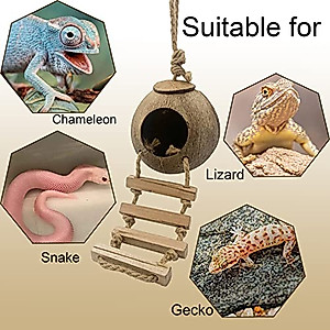 MUYG Lizard Coco Den with Ladder,Crested Gecko Coconut Husk Hut Reptile Shell Hideout Home Climbing Plants Tank Decor Terrarium Plastic Plant Leaves for Bearded Dragon Chameleon Snakes