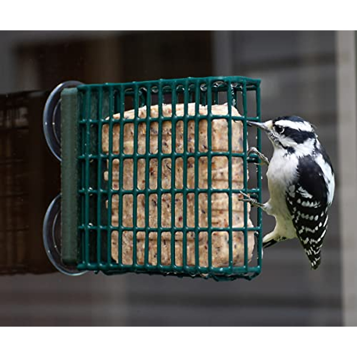 Kettle Moraine Window Mount Single Suet Cake Woodpecker Bird Feeder