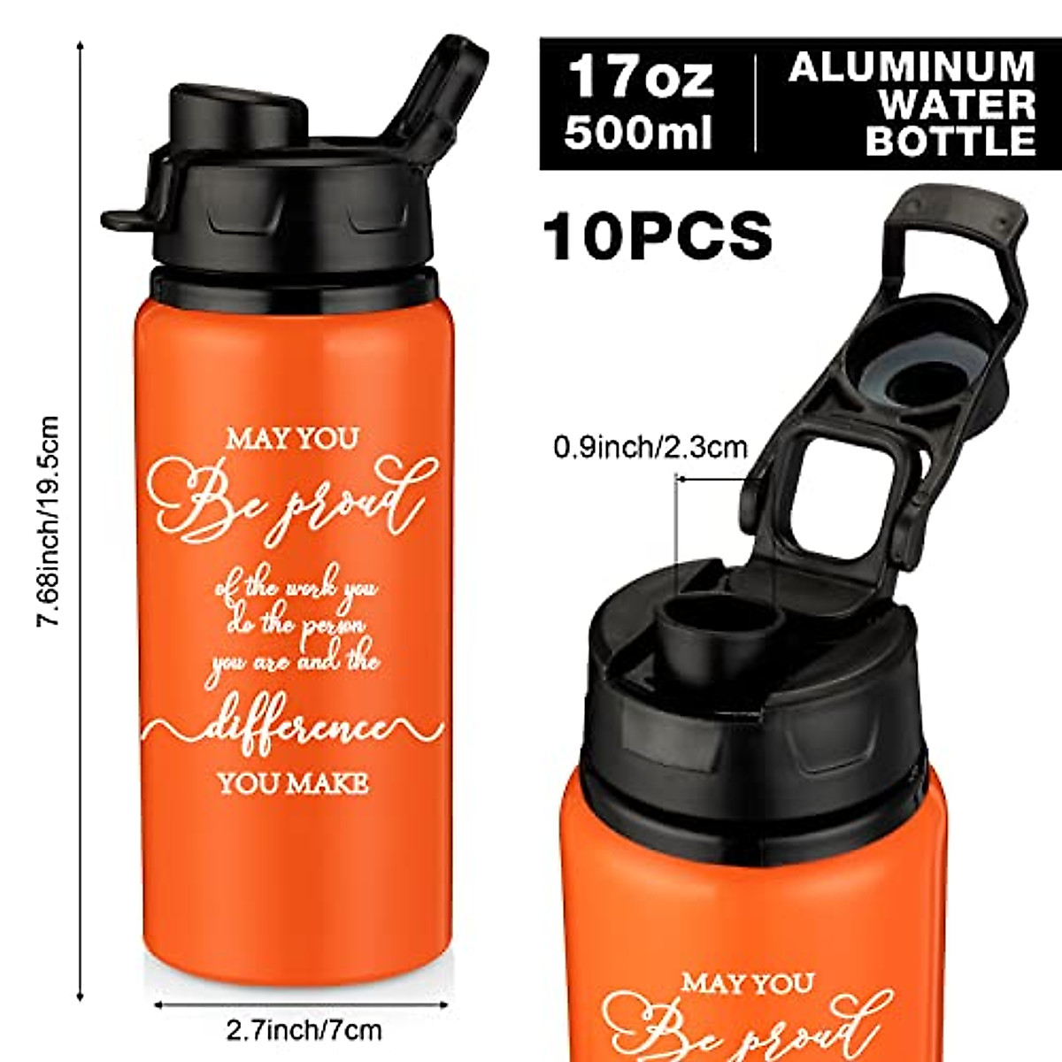 Sunnyray 10 Pcs Employee Appreciation Gift Reusable Water Bottle Bulk with Snap Lid May You Be Proud of the Work Thank You Group Team Gift for Coworker Teacher Friend(17 oz,Multicolor)