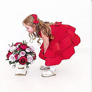 Baby Girl Easter Backless Dresses Bowknot Toddler Ball Gown Ruffles Christmas Formal Dress Tutu Frocks (Red,80)