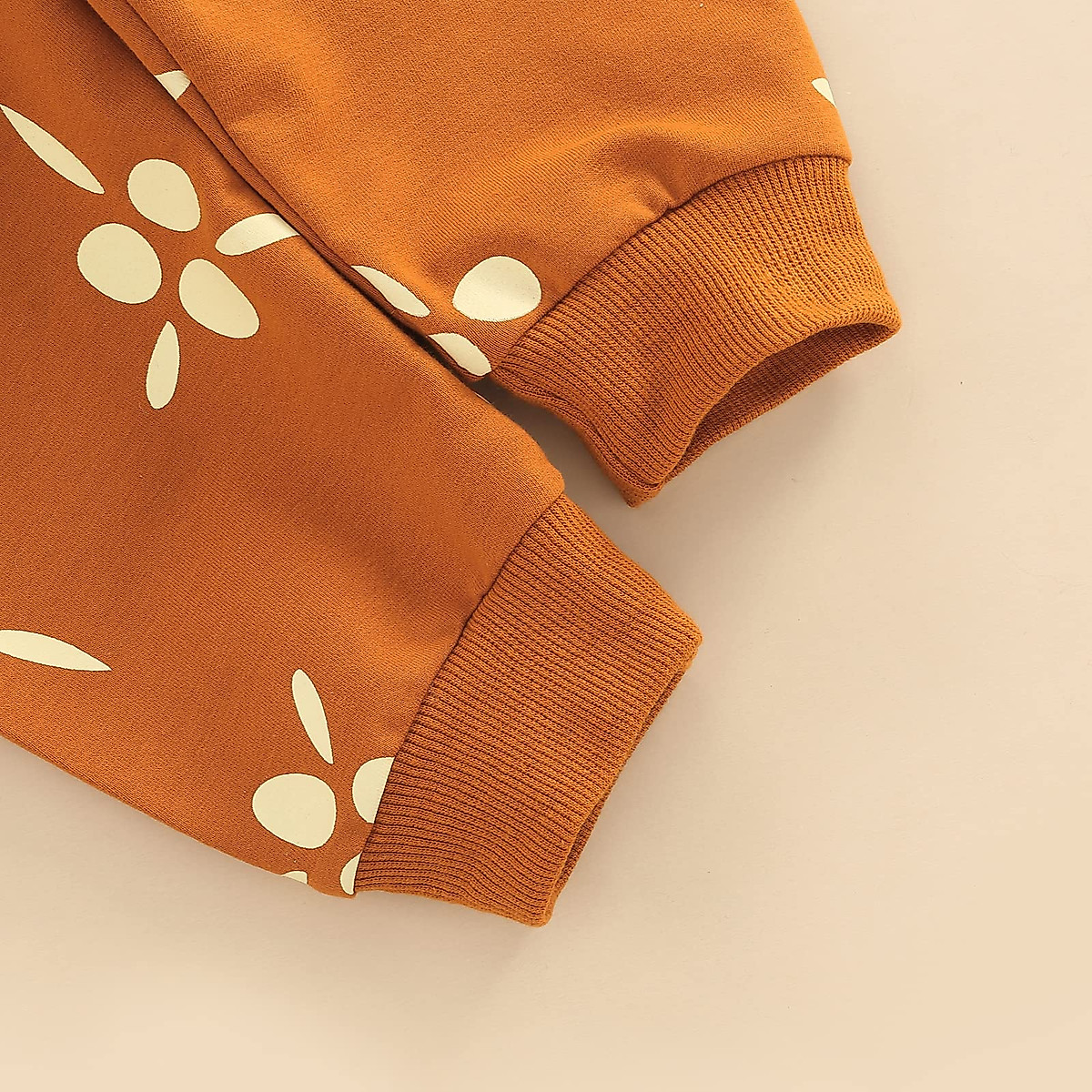 Baby Girl Fall Clothes Long Sleeve Sweatshirts Tops and Pants Set 2 Piece Toddler Girl Cute Floral Outfits (Ginger,18-24 Months)