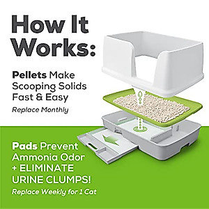 Purina Tidy Cats Breeze Litter System Cat Refill Bundle