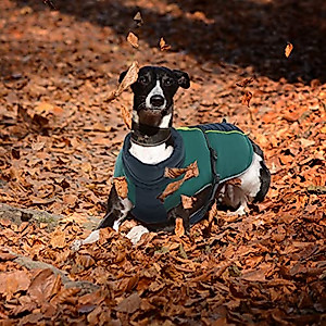 Warm Dog Winter Coat Reflective Dog Cold Weather Jacket Turtleneck Dog Vest Thick Fleece Lining Vest Windproof Dog Snow Suit Pet Apparel for Small Medium Large Dogs (Medium)