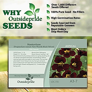 Outsidepride Tropaeolum Nasturtium Black Velvet Climbing Flowering, Dwarf Plants - 200 Seeds