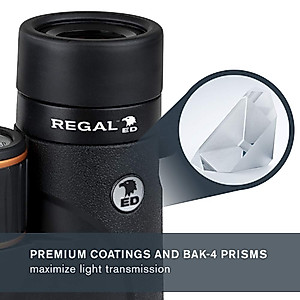 Celestron – Regal ED 10x42 Binocular – ED Binoculars for Hunting, Birding and Outdoor Actvities – Phase and Dielectric Coated BaK-4 Prisms – Fully Multi-Coated Optics – 6.5 Feet Close Focus