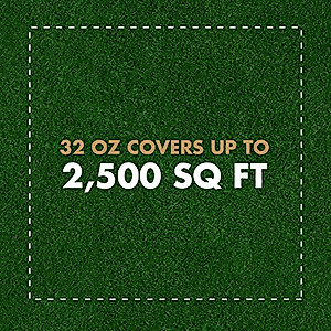 Spectracide Immunox Fungus Plus Insect, 1 Pack