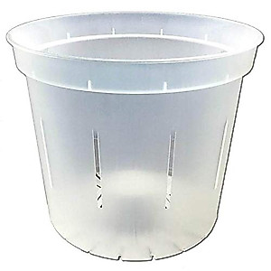 rePotme 6 inch Orchid Pot 3 Pack - Slotted Orchid Pots with Holes for Repotting (Crystal Clear)