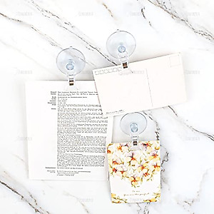 AUEAR, 12 Pack 48mm Suction Cup Clip Fish Seaweed Clip Veggie Feed Holder for Office Home Display Business Cards Holder Aquarium Shower