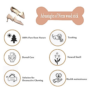 aiminto Neem Stick for Dog Chew, 100% Organic, Natural Toothpaste, Teething, Dental Care, (Large Dog >44LBs, Pack of 3 Pieces)