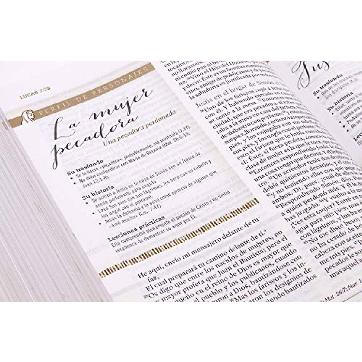 Biblia Reina Valera 1960 de Estudio para Mujeres, Tapa dura | RVR 1960 Women Study Bibl, Hardcover (Spanish Edition)