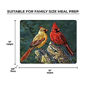 Rivers Edge Products Large 12in x 16in Decorative Tempered Glass Cutting Board, Hypoallergenic, Non Slip, Textured Surface Chopping Board for Kitchen, Cute Birds for Bird Watcher, Cardinal