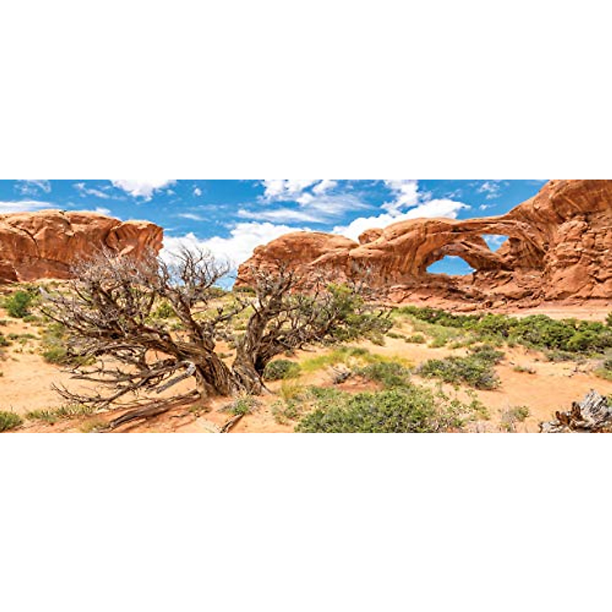 Reptile Habitat Background; Double Arch with Tree, for 48Lx18Wx36H Terrarium, 3-Sided Wraparound