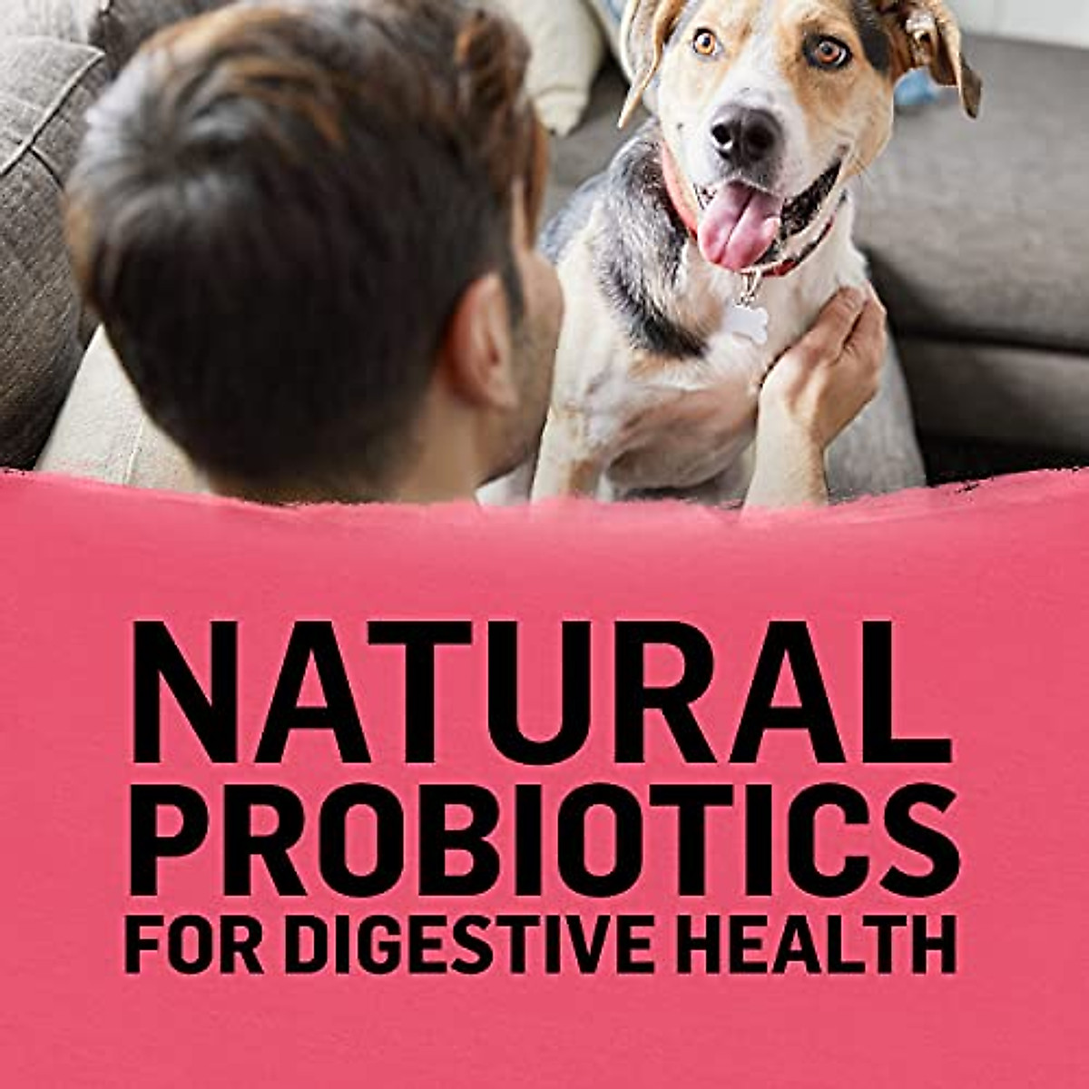 Purina Beyond Natural Dry Dog Food, Superfood Blend Salmon, Egg & Pumpkin Recipe - 3.7 lb. Bag