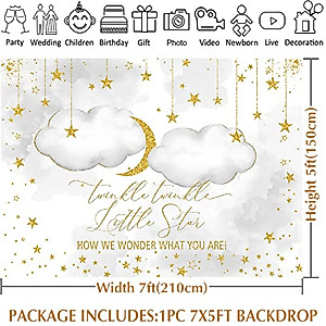 Avezano Twinkle Twinkle Little Star Backdrops Gray White Clouds Gender Neutral Baby Shower Party Background Gold Glitter Stars Newborn Baby Boy or Girl Gender Reveal Decoration Supplies 7x5ft
