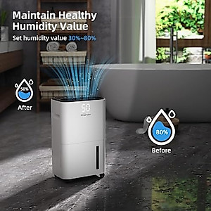HOGARLABS 2000 Sq Ft 30 Pint Dehumidifier for Home Basements Bathroom Bedroom, Dehumidifier with Drain Hose for Medium to Large Room, Intelligent Humidity Control Dehumidifier with Laundry Dry