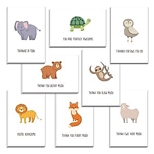 Biturat 48 Thank You Cards Set, Animal Pun Thank You Note Cards Pack, Funny Thank You Cards Bulk, Boxed Assortment Quip Notecards for Gratitude, Recognition, Appreciation, 4 x 6 in
