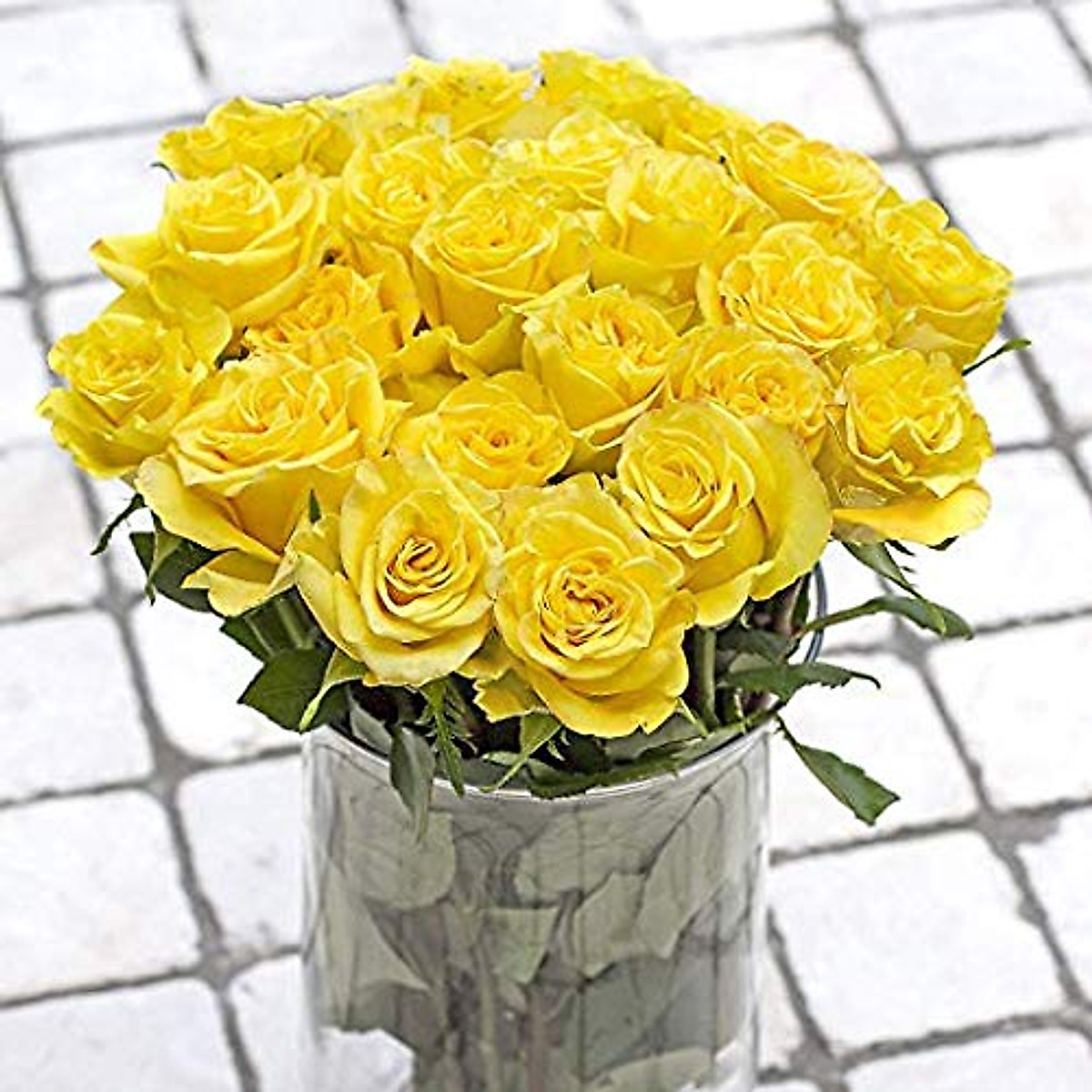 Fresh Cut 24 Yellow Roses - Fresh from the Farm Yellow Rose Bouquet – Hand-Selected Long-Lasting Gift and Home Decor Perfect Fresh Flowers |20" Long Stems No Vase-2 Dozen | Flowers Gift