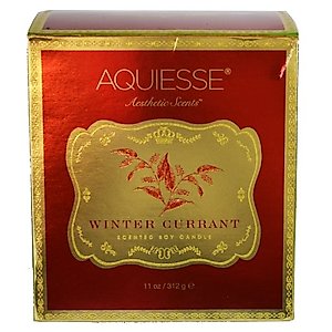 Aquiesse Winter Currant Scented Soy Candle - 11 oz.