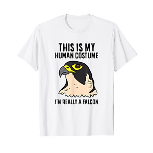 Falcon Costume This Is My Human Costume I'm Really A Falcon T-Shirt