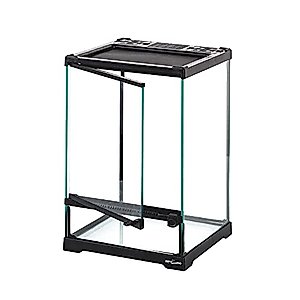 REPTIZOO Mini Reptile Glass Terrarium Tank 8"x8"x12", Front Opening Door Full View Visually Appealing Mini Reptile or Amphibians Glass Habitat