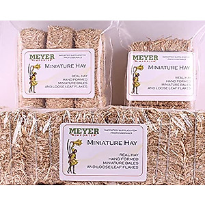 Meyer Imports Mini Hay Bales - Small - (Pack of 3) Small Decorative Hay – for Craft/Dollhouse/Farm/Halloween/Table Decoration - 2.5 x 1 Inches Each