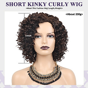 XIUFAXIRUSI XIUFAXIRUSI Short Curly Afro Wigs for Black Women Mixed Brown Kinky Curly Bob Wig with Side Bangs African American Synthetic Full Hair Wig